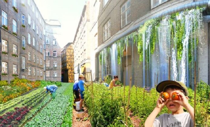 How Urban Farming Could Solve Food Shortages in Big Cities - Business ...